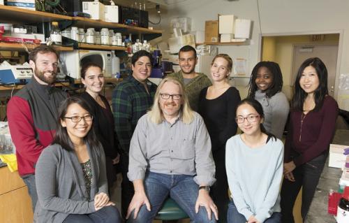 How Yale launched the Department of Biomedical Engineering | Saltzman ...